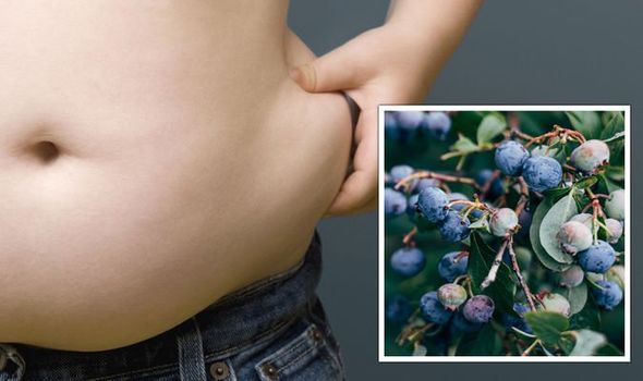 Do blueberries burn belly fat?