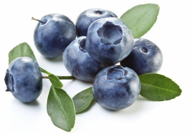 Do blueberries make you think better?