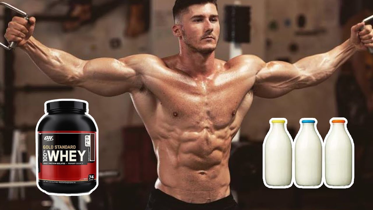 Do bodybuilders use whey protein?