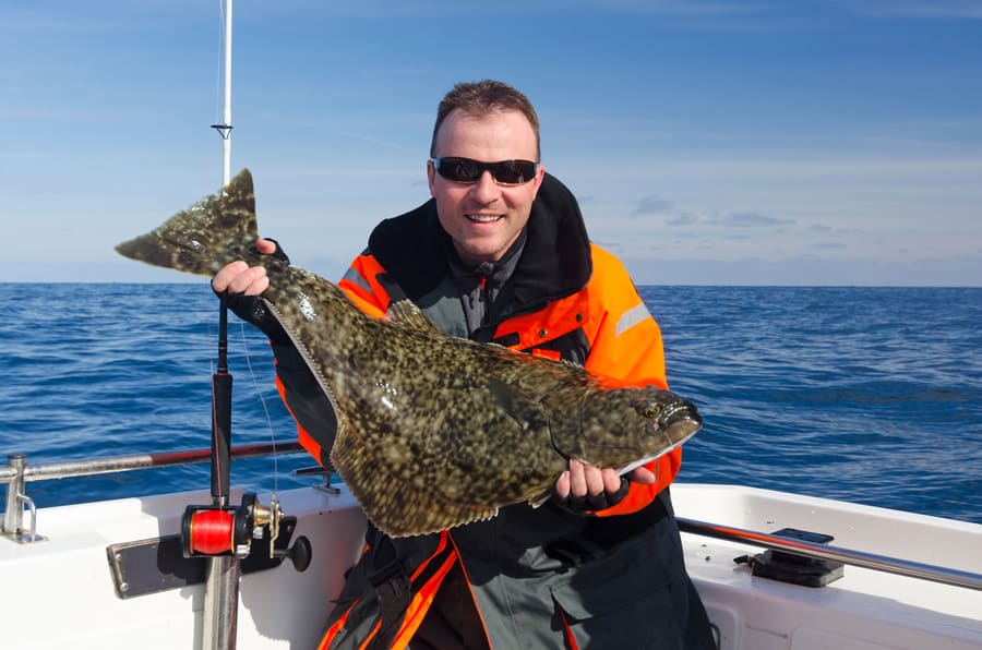 Do California halibut bite at night?