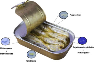 Do canned sardines have organs?