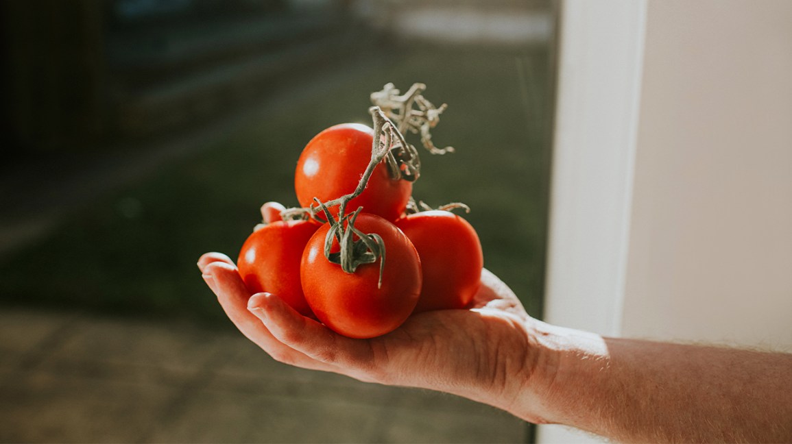 Do canned tomatoes cause gout?