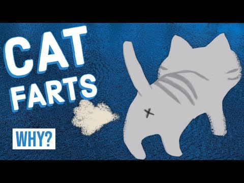Do cats fart in self defense?