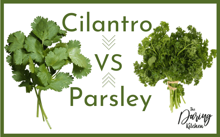 Do cilantro and parsley taste the same?