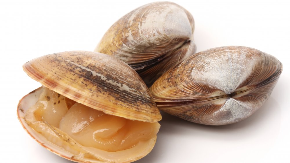 Do clams open when they die?