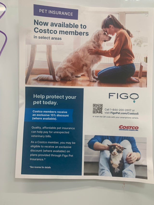 Do Costco employees get pet insurance?