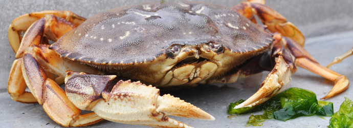 Do crabs live in the deep ocean?