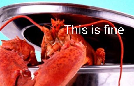 Do crabs scream when boiled alive?