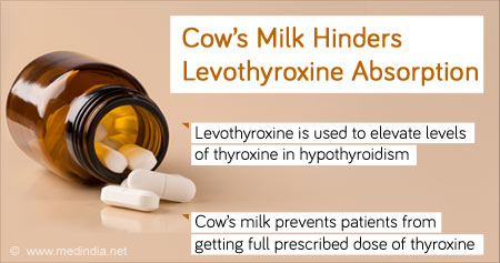 Do dairy products interfere with levothyroxine?