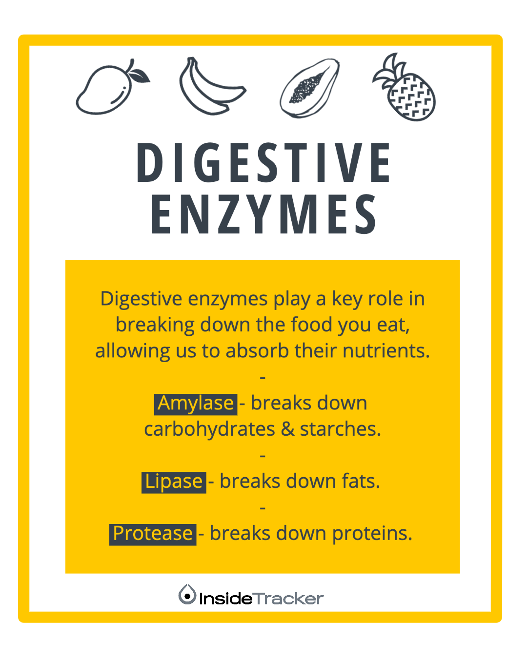 Do digestive enzymes cause gas?