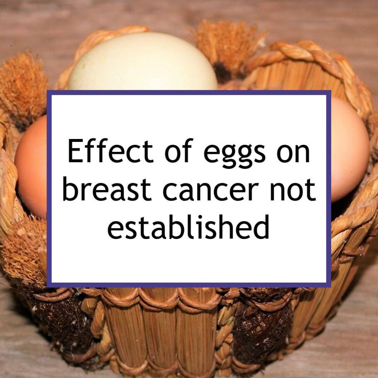 Do eggs cause breast cancer?