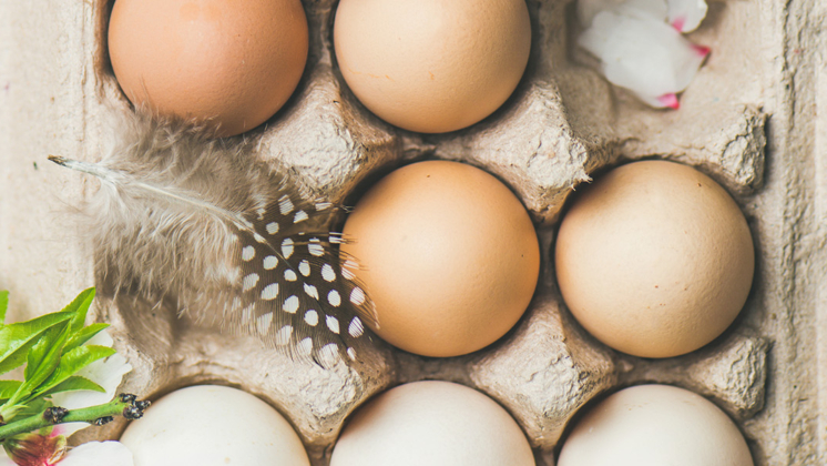 Do eggs cause memory loss?