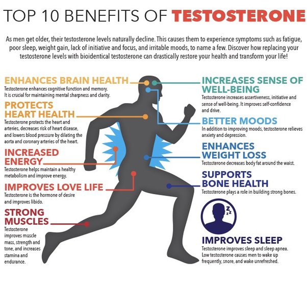 Do eggs lower testosterone?