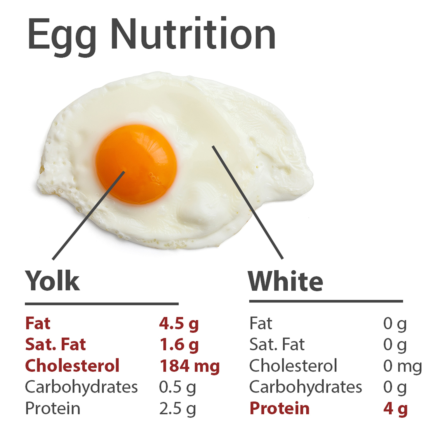 Do eggs raise your cholesterol?