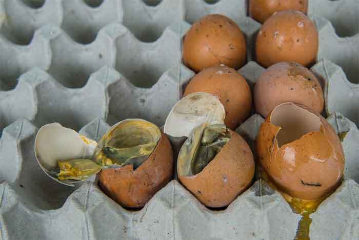 Do eggs smell bad when they are rotten?
