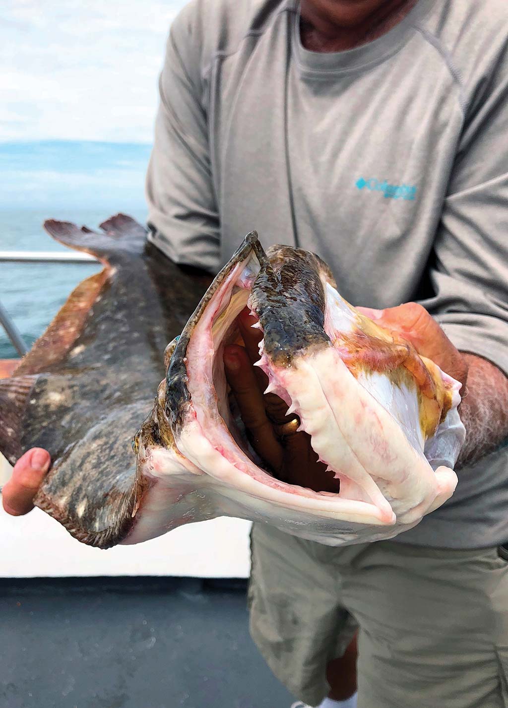 Do flatfish have teeth?