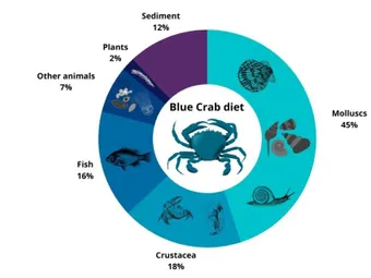 Do freshwater crabs eat snails?