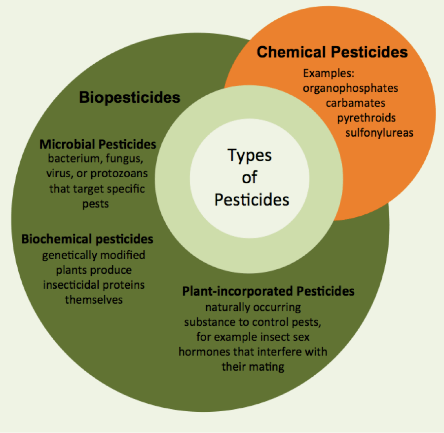 Do GMOs have chemicals in them?