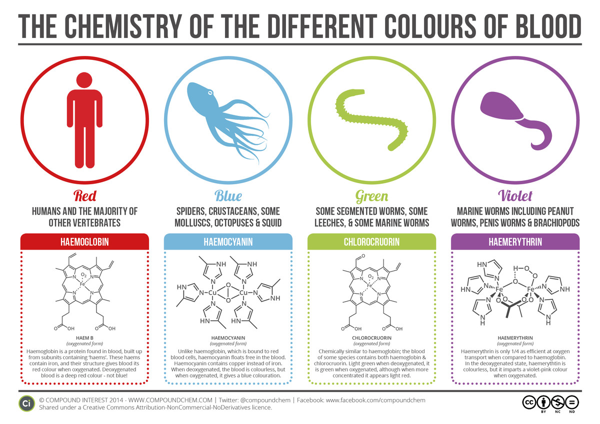 Do humans have copper-based blood?