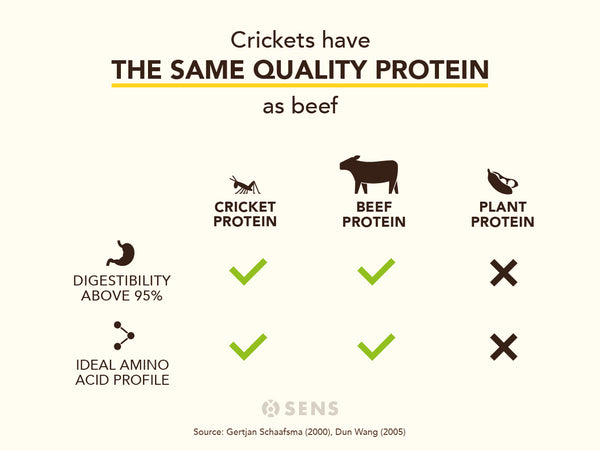 Do humans need animal protein?