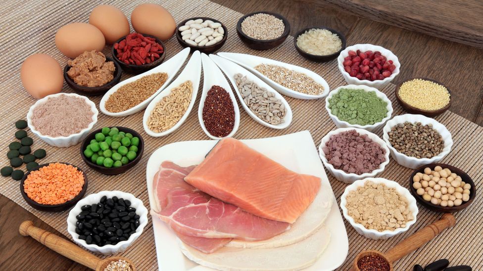 Do humans need to eat protein?