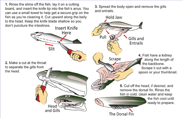 Do I need to wash fish before freezing?