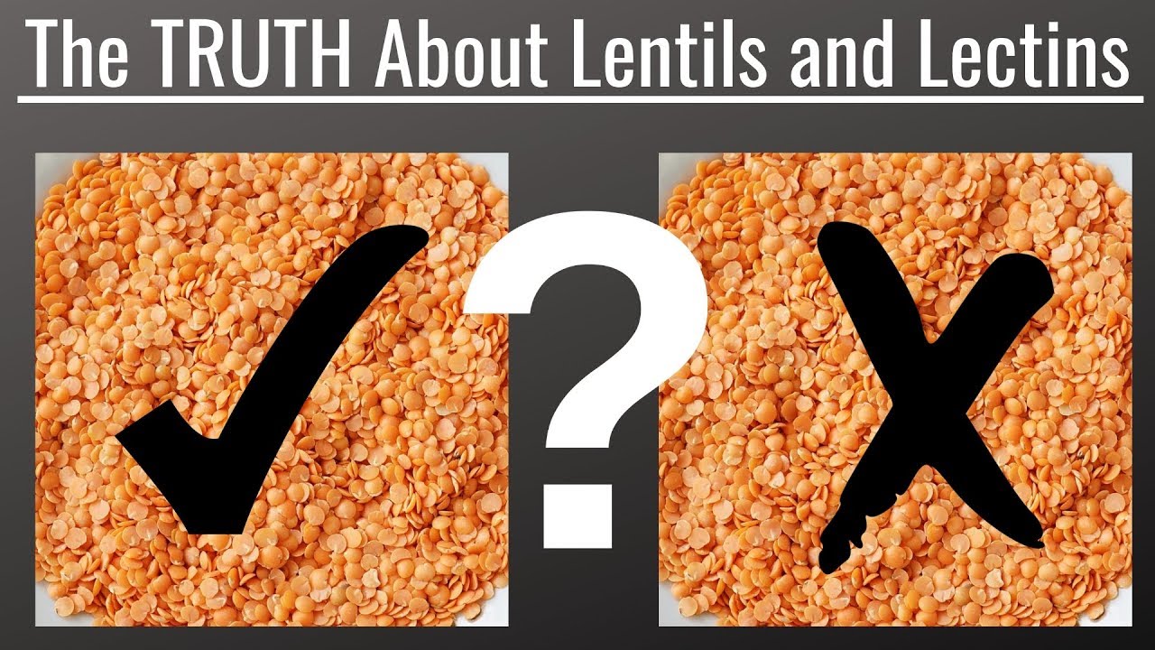 Do lentils have lectin?