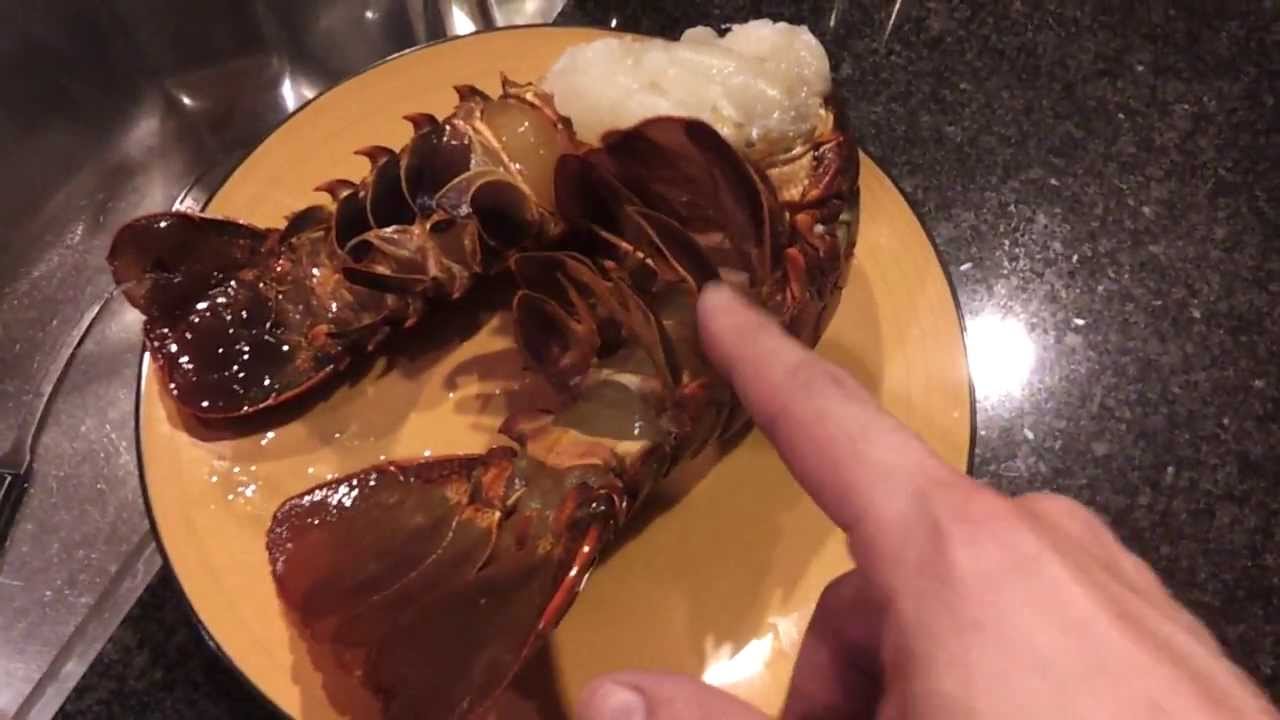 Do lobsters come back to life after being frozen?