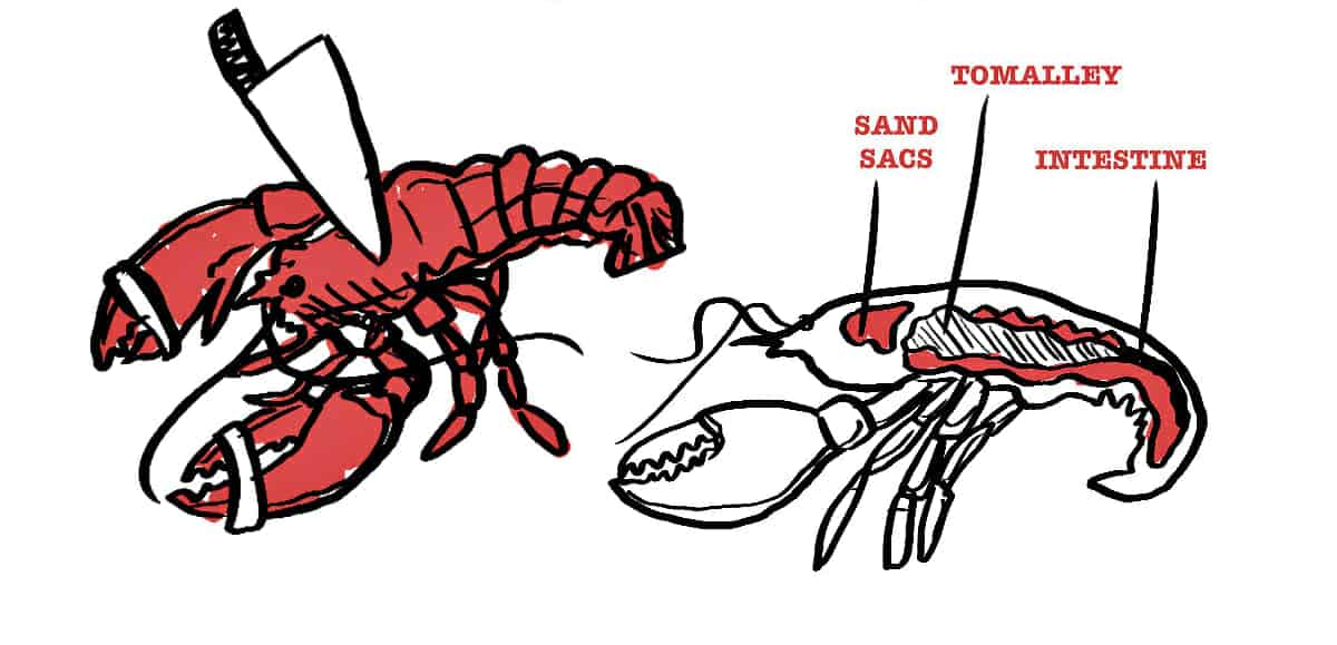 Do lobsters die immediately boiling water?