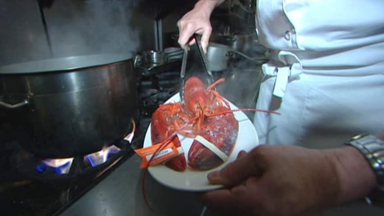Do lobsters feel pain when you cook them alive?