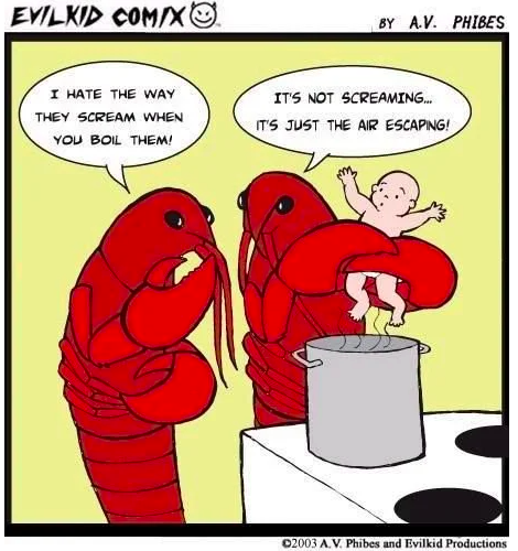 Do lobsters feel pain Yes or no?