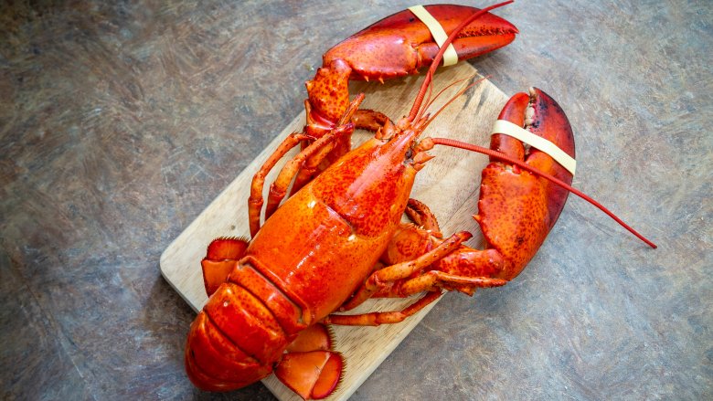 Do lobsters hibernate?