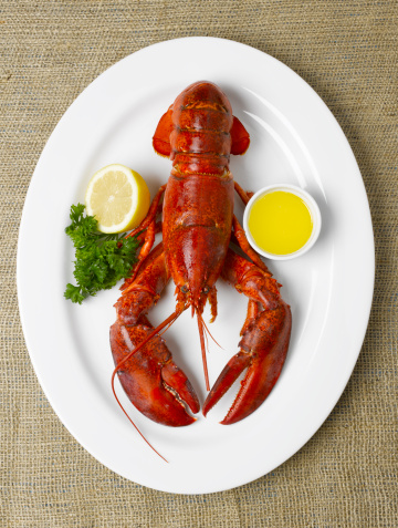 Do lobsters squeal when cooked?