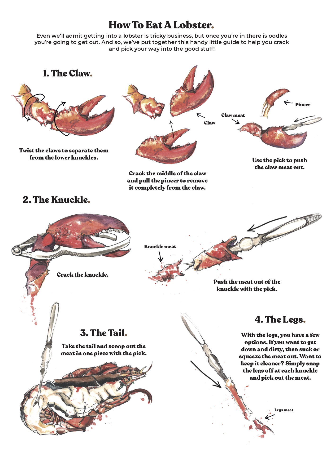 Do lobsters use their claws to eat?