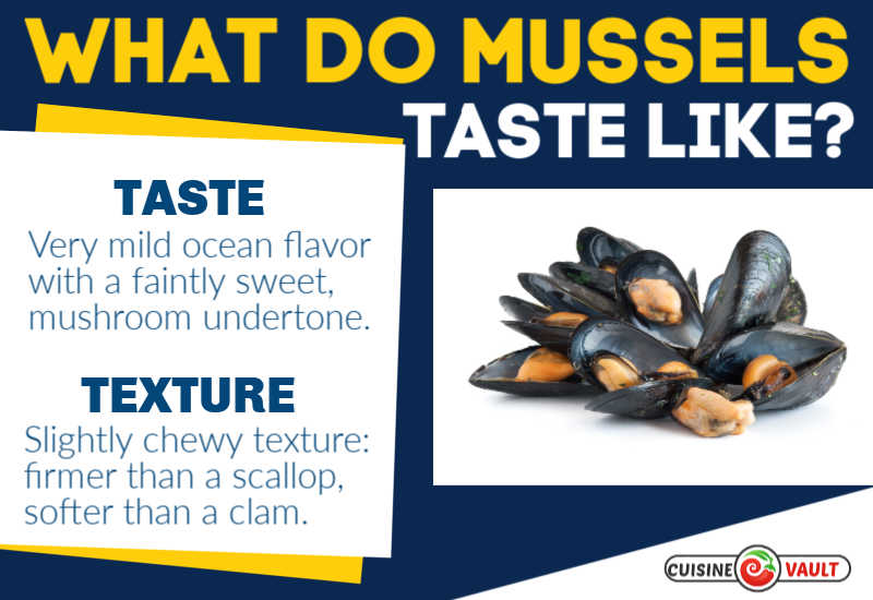 Do mussels taste like the ocean?