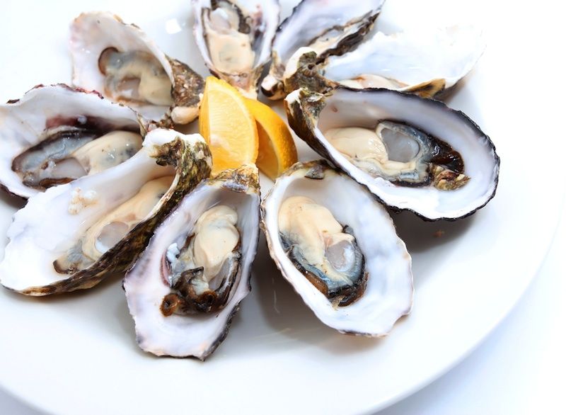 Do oysters carry norovirus?