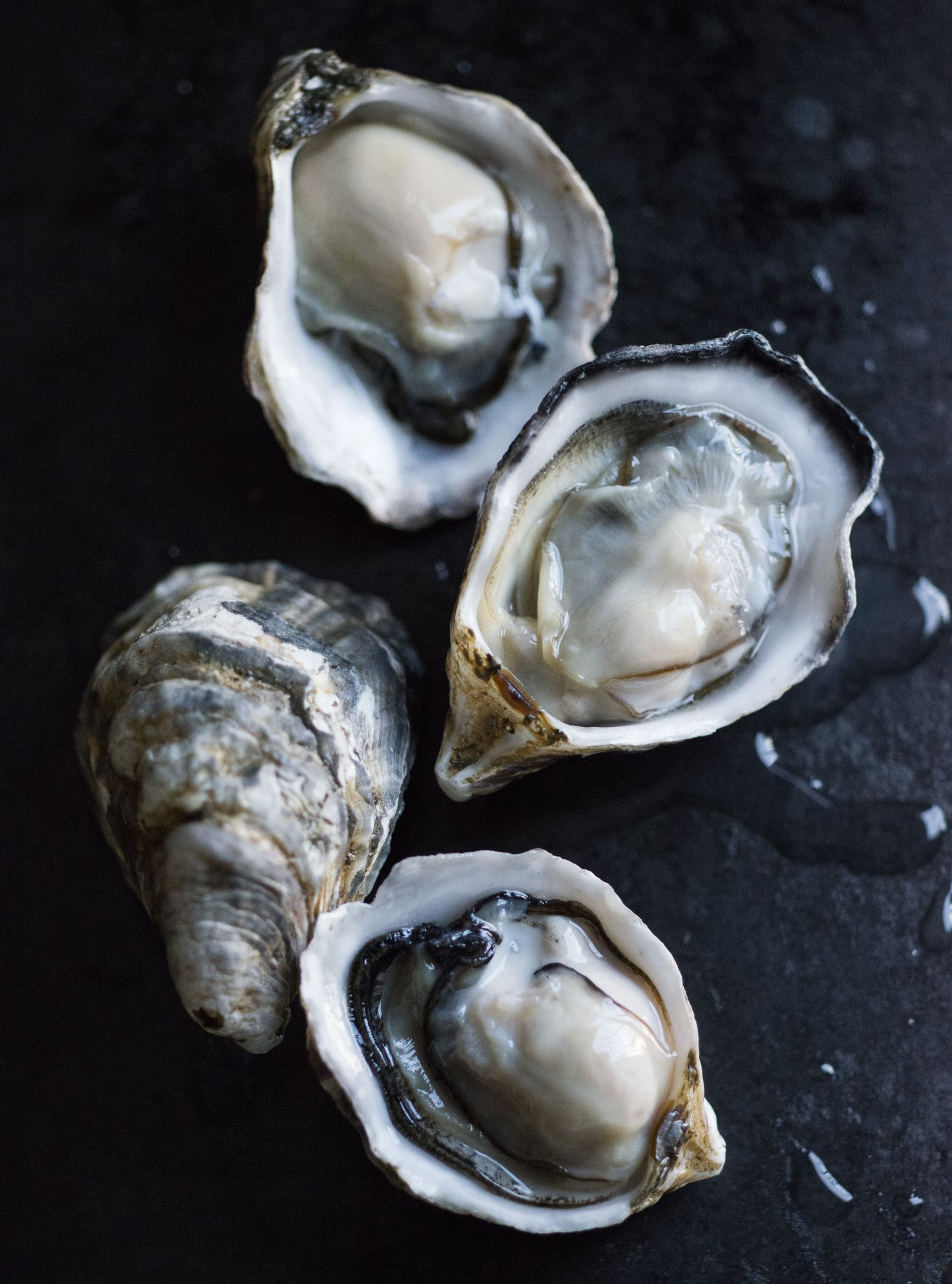 Do oysters die when opened?