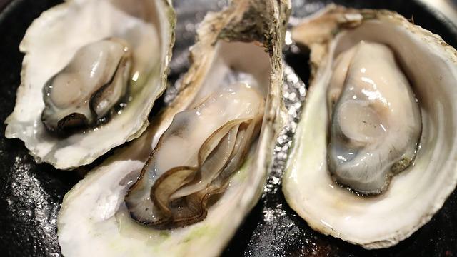 Do oysters give you boners?