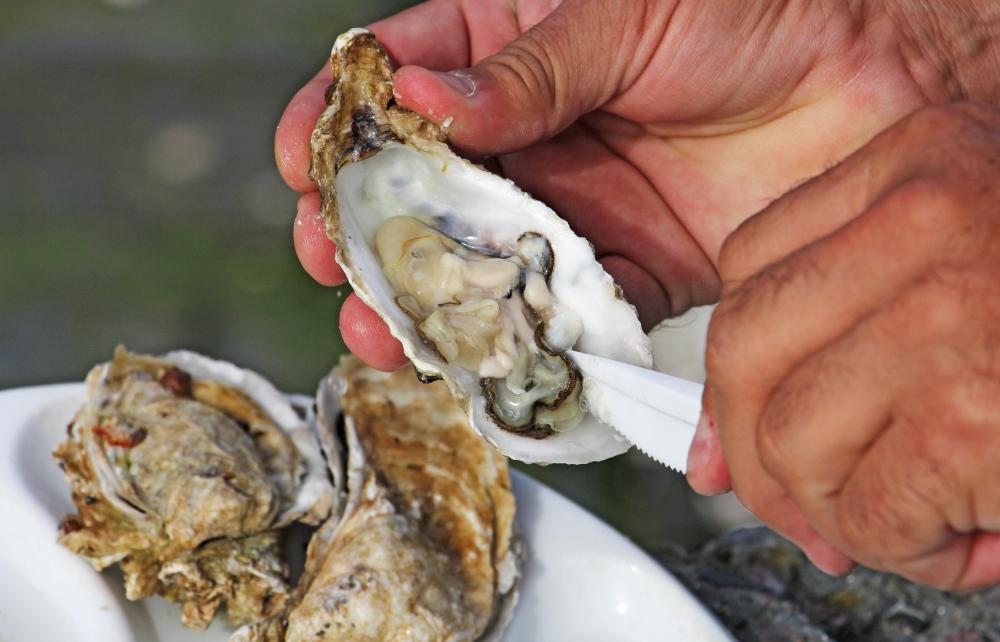 Do oysters have to open when cooked?