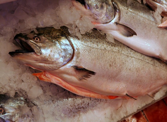 Do people eat Pacific salmon?