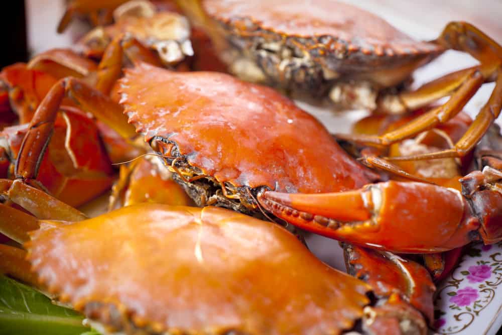 Do people put vinegar on crabs?