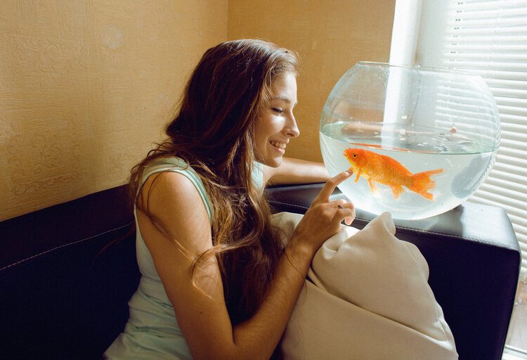 Do pet fish like their owners?