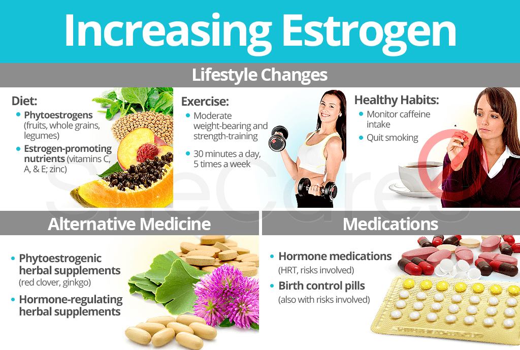 Do phytoestrogens increase estrogen levels?