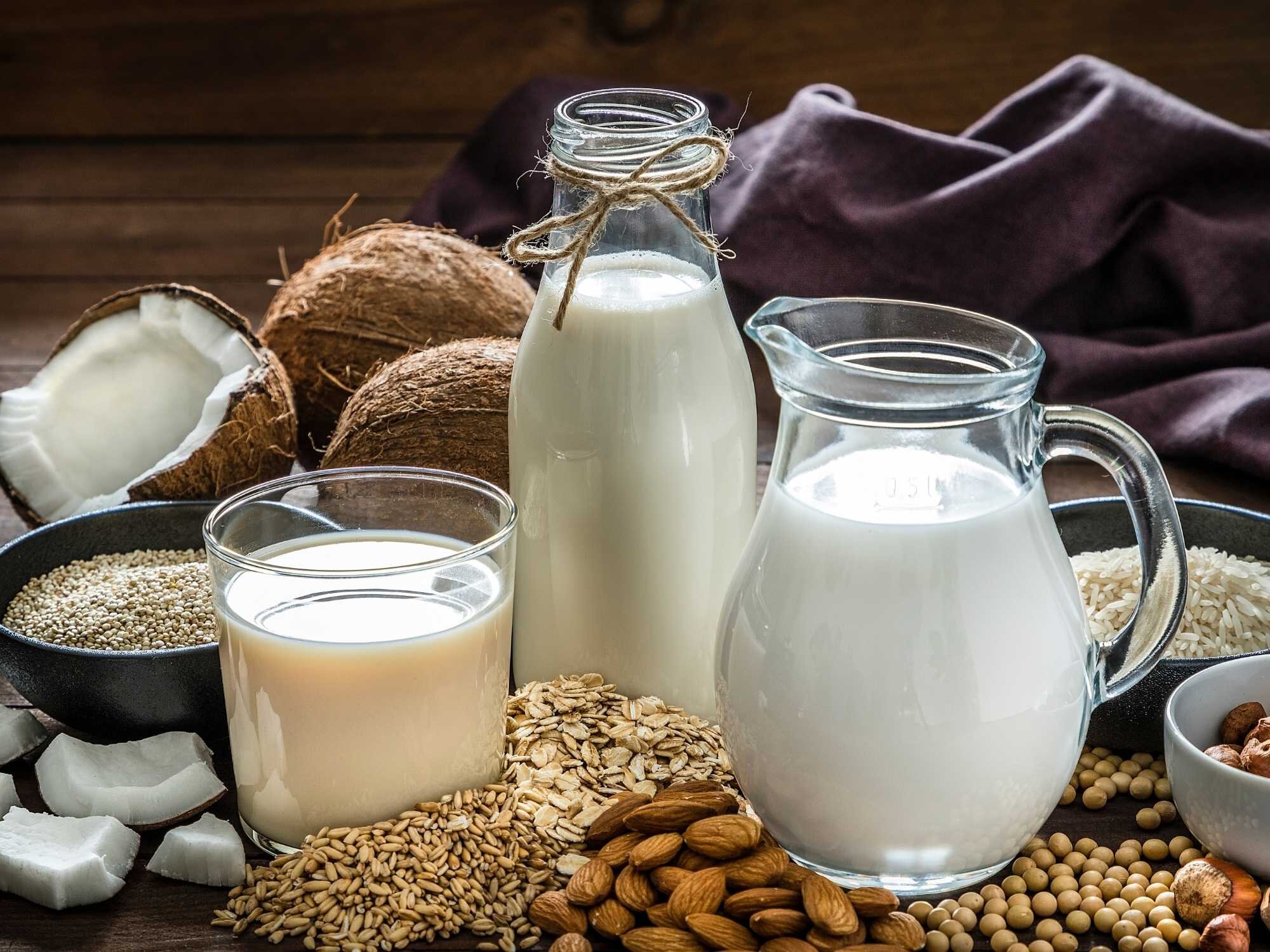 Do plant-based dairy products have more protein than dairy products?