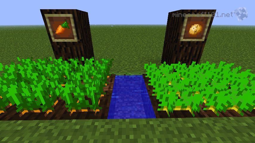 Do potatoes or carrots grow faster Minecraft?