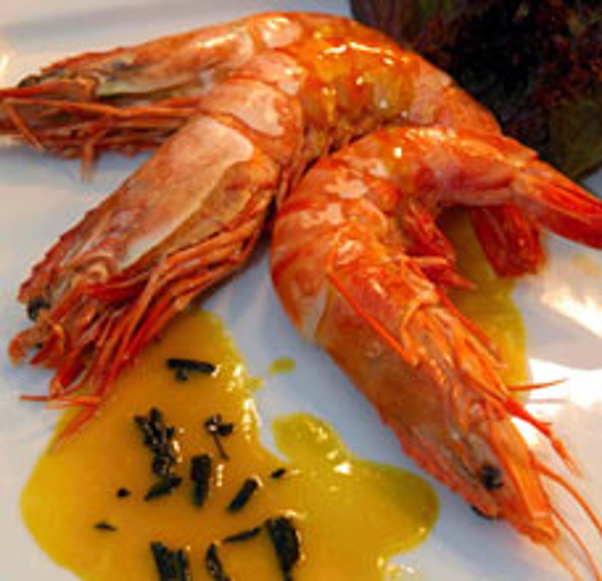 Do prawns feel pain when cooked?