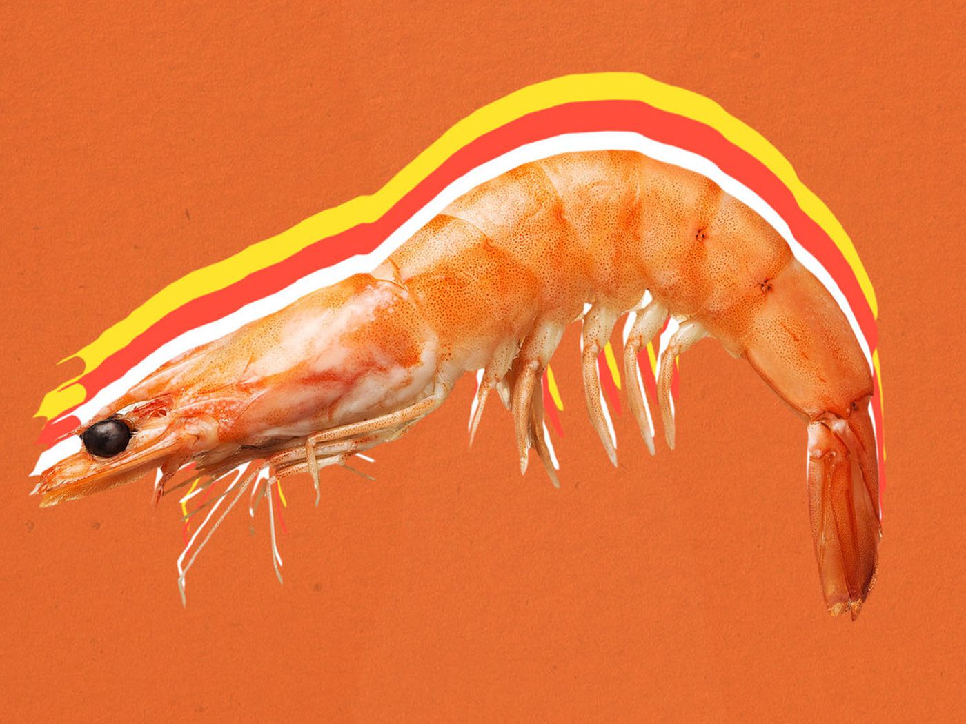 Do prawns have claws?