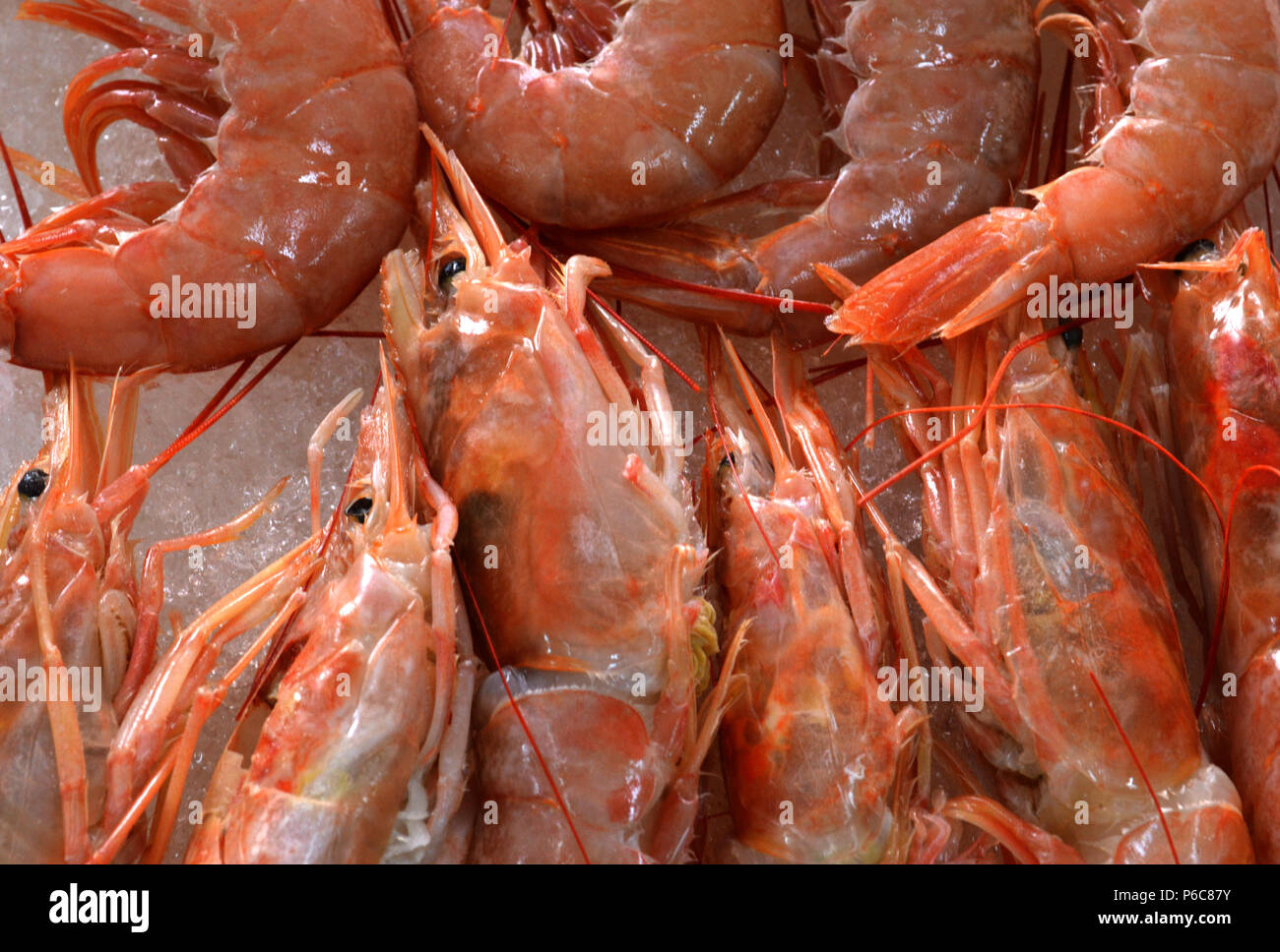 Do prawns need to be kept on ice?