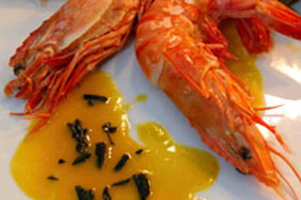 Do prawns really suffer when harmed by Vinegar?