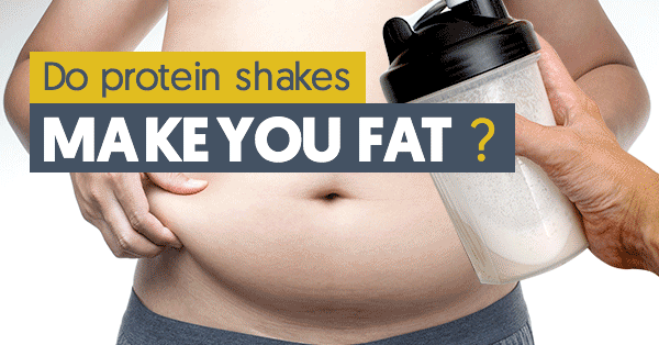 Do protein shakes cause belly fat?